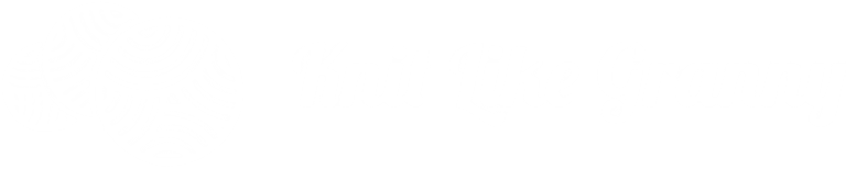 Lever Knitting Guide: All You Need To Know [2024 Update]